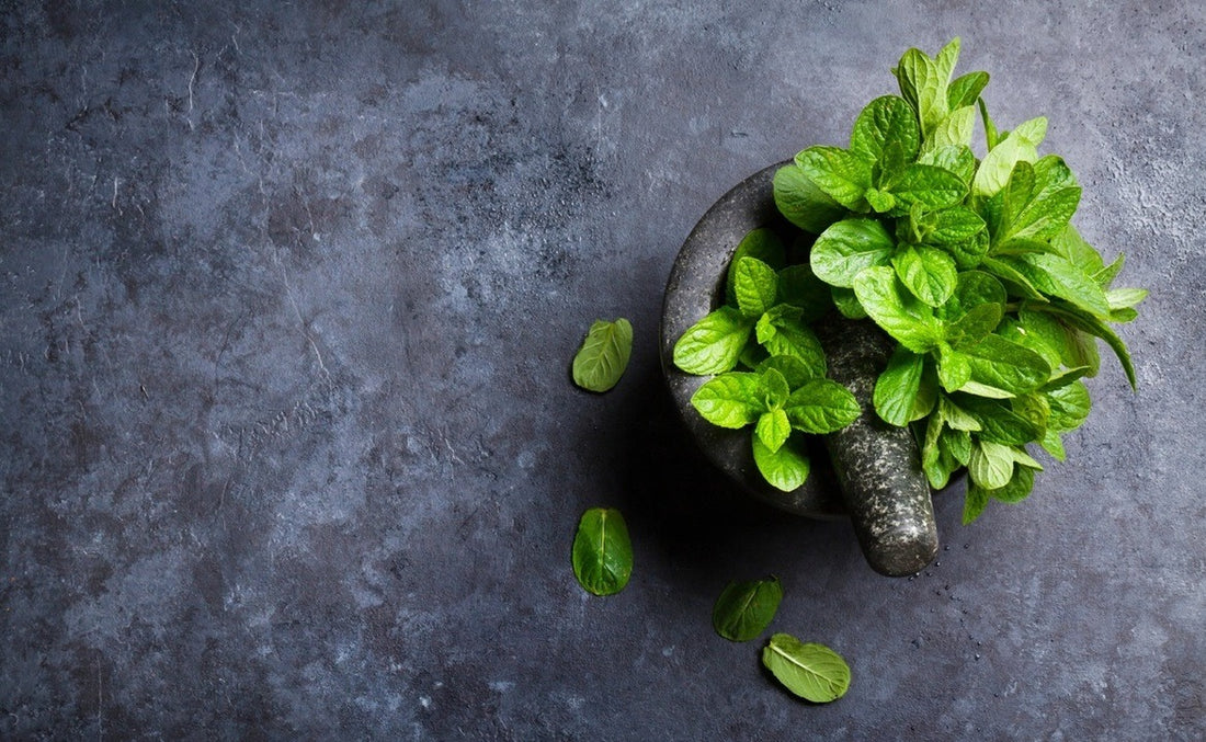 Mint Flavor Variations – Chapstick SBC