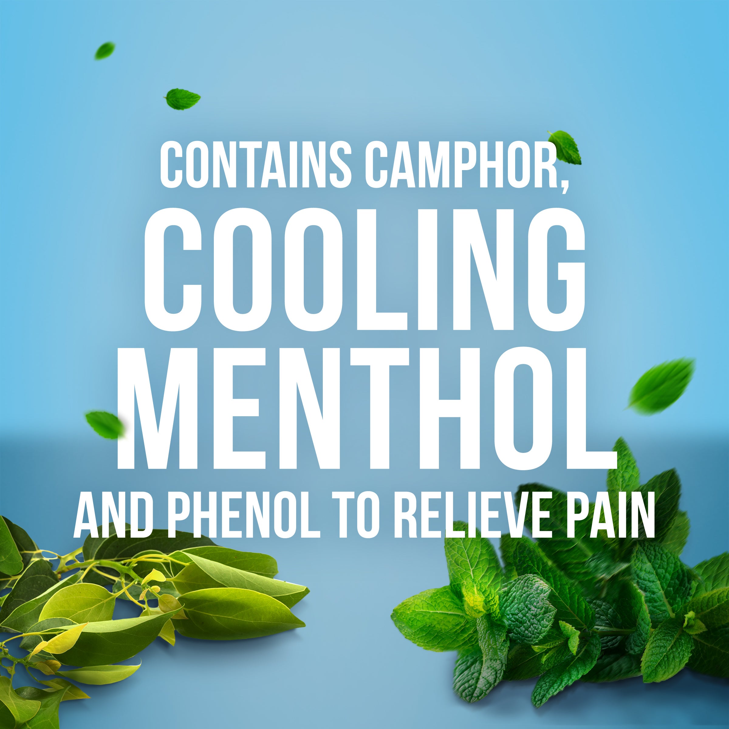 ChapStick Classic Medicated Lip Balm – Chapstick SBC